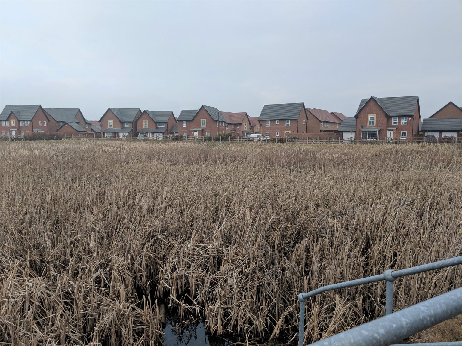 Sustainable Urban Drainage System SuDs | Aquatic Solutions