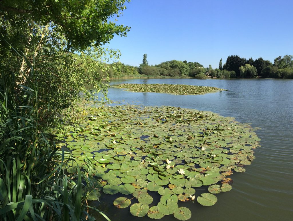 Breathe new life into your water with Aquatic Solutions UK