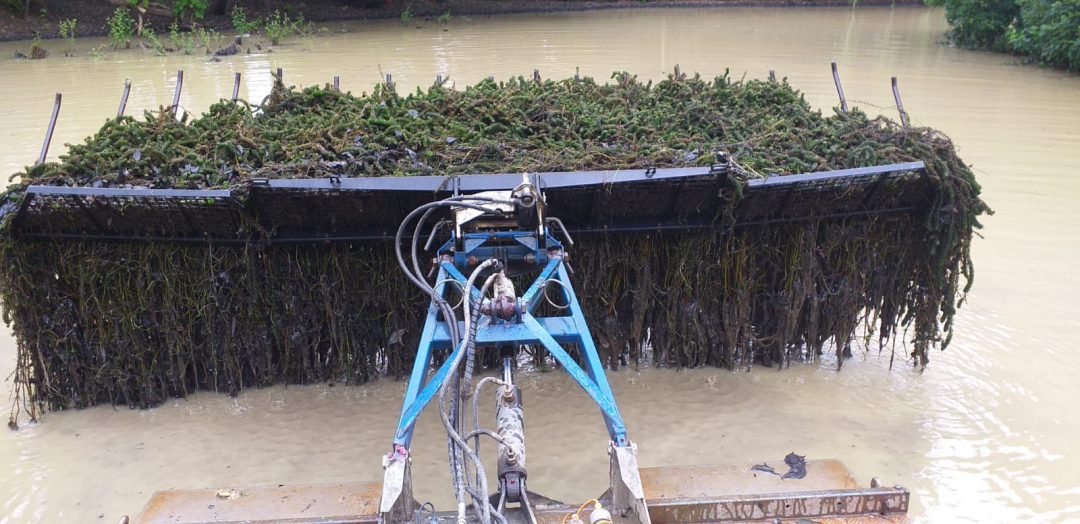 Aquatic Weed Control and Aquatic Weed Cutting | Aquatic Solutions